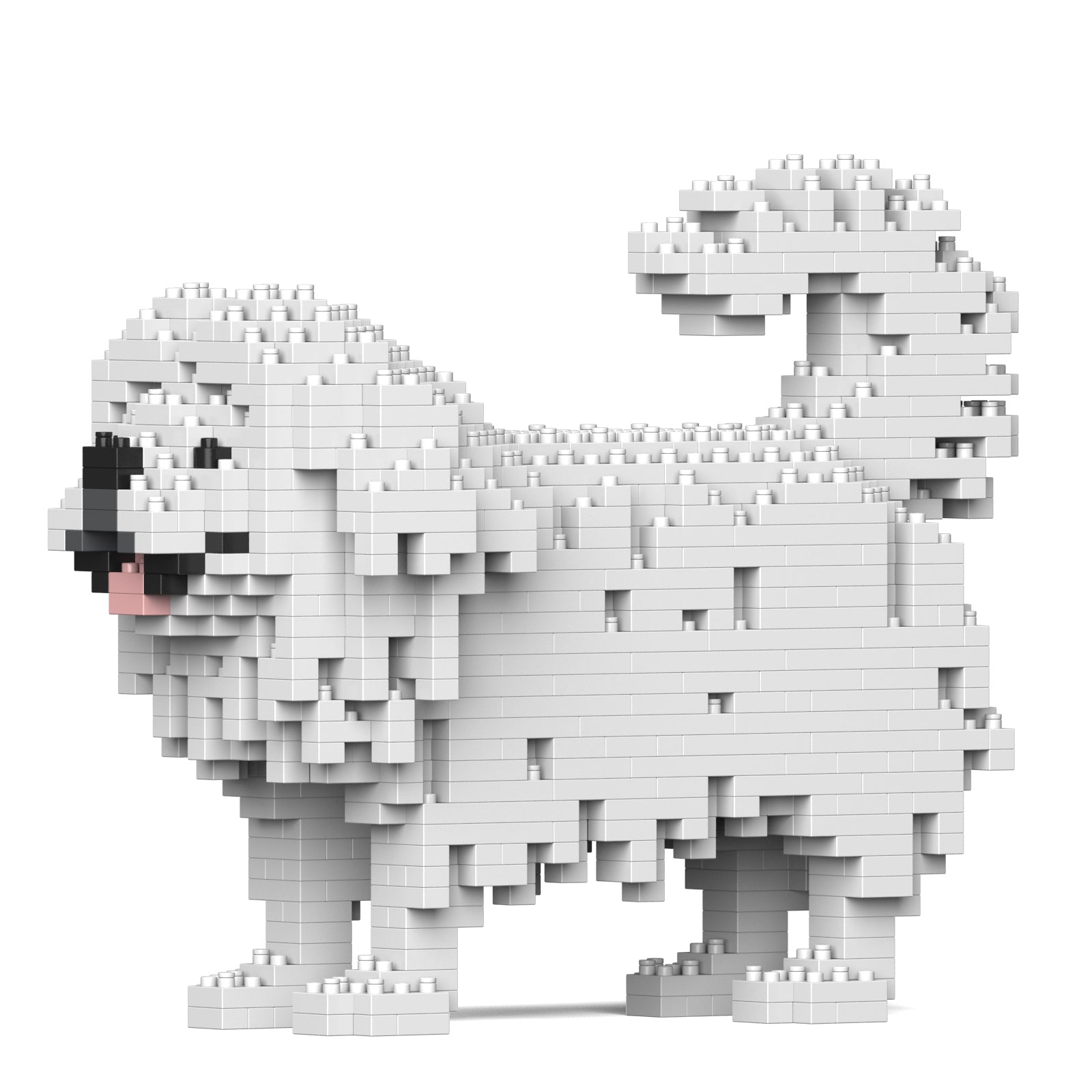 Dog Collection – JEKCA Hong Kong