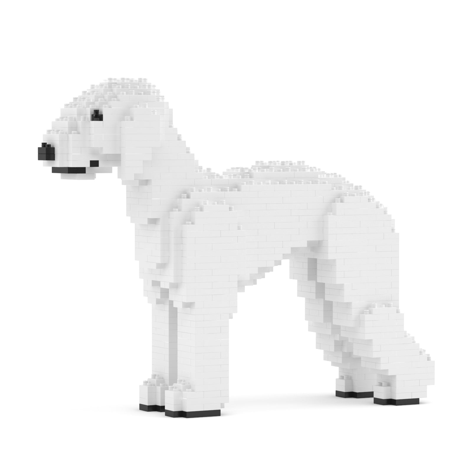 Dog Collection – JEKCA Hong Kong